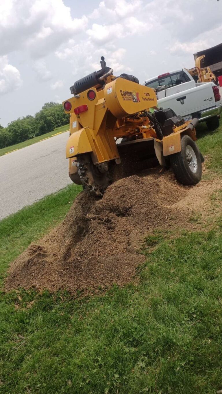 Professional Stump Grinding | Arbor Junkies Tree Service
